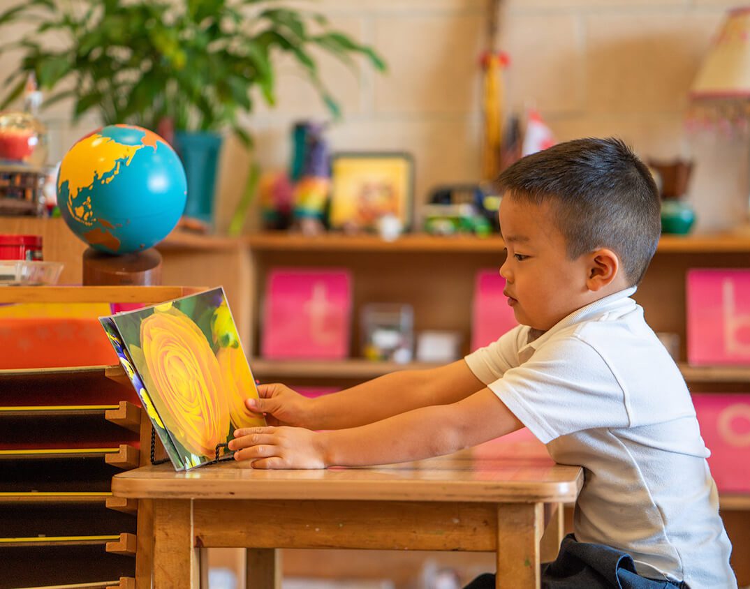 Montessori Schools & Programs | Cadence Education